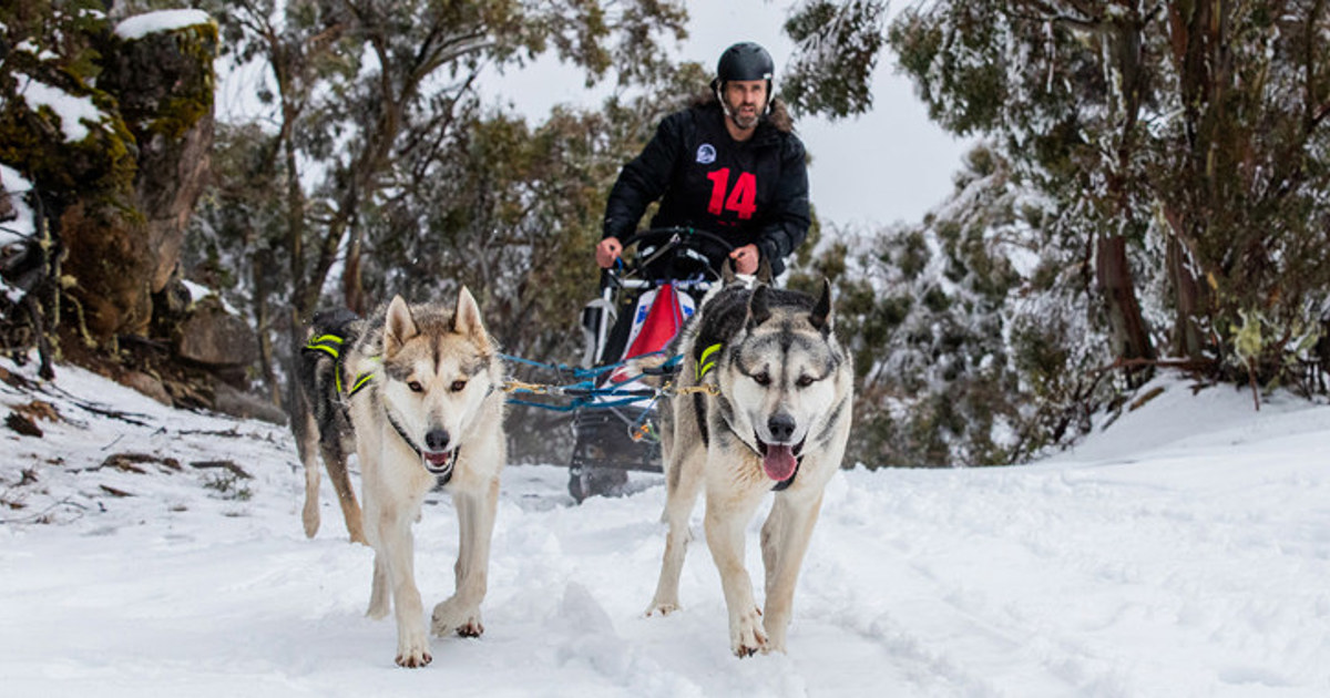 Simon & Sheena Kirkpatrick - Black Hawk