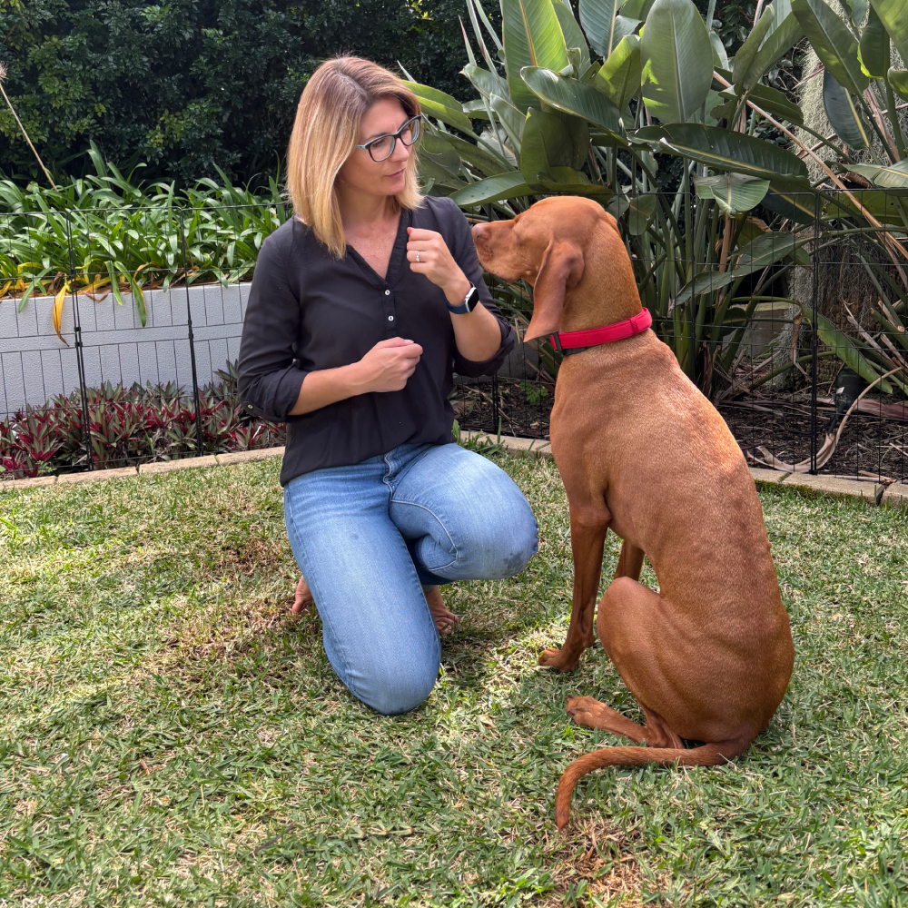 Jeffrey Cotter | R&D Formulation Coordinator - Black Hawk